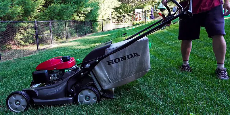 Top 7 Best Gas Push Mowers Reviewed For 2021 | Take Care Of Your Lawn ...