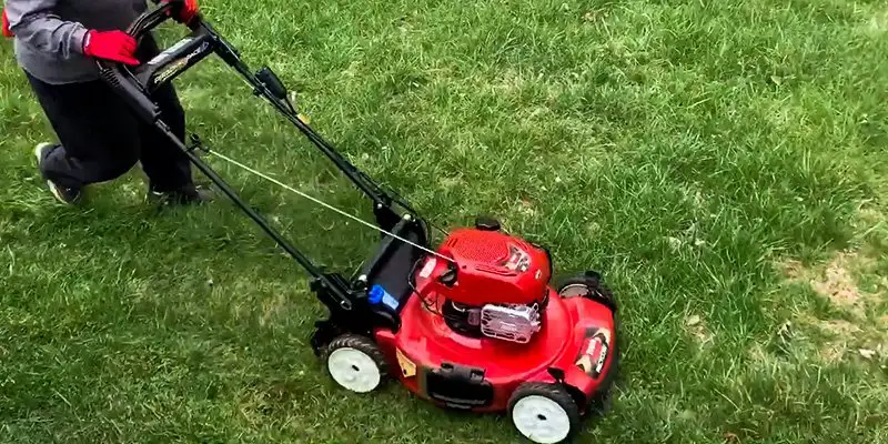 Top 7 Best Self-Propelled Lawn Mower With Electric Start Reviews In ...