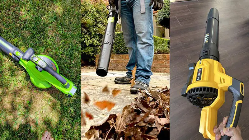 10 Best Cordless Leaf Vacuums for Effortless Yard Cleanup in 2025 ...