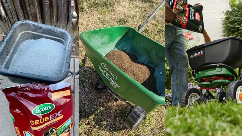 10 Best Lawn Grub Killers for a Healthier, Pest-Free Yard in 2025 ...