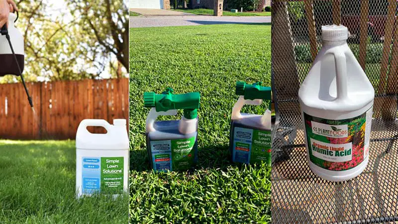 10 Best Lawn Liquid Fertilizer for a Lush, Green Yard - Lawn Mowers Wiki